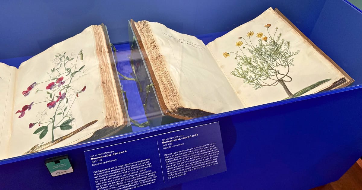 Allard Pierson Amsterdam: Egypt Meets Amsterdam ⚱️