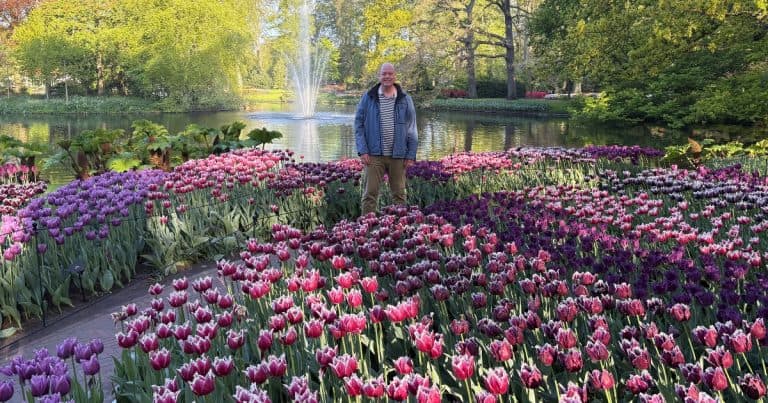 Spring In The Netherlands: Tulips, Crowds & Best Timing
