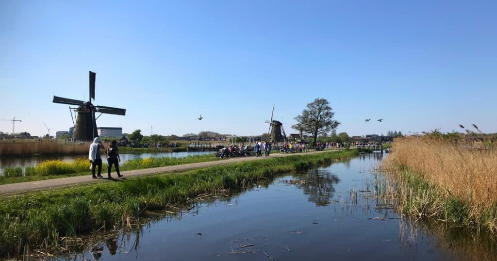 Amsterdam To Kinderdijk: Train + Waterbus Or Taxi Guide 🛳️