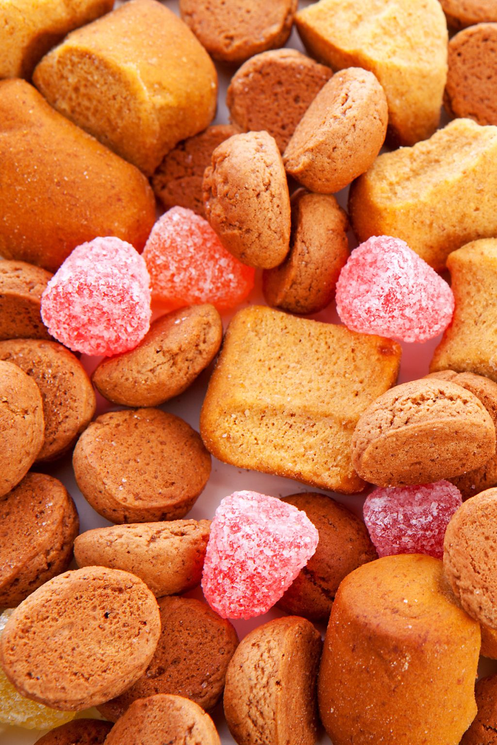 A Dutch Netherlands Winter Worth The Trip? Surprisingly Yes!